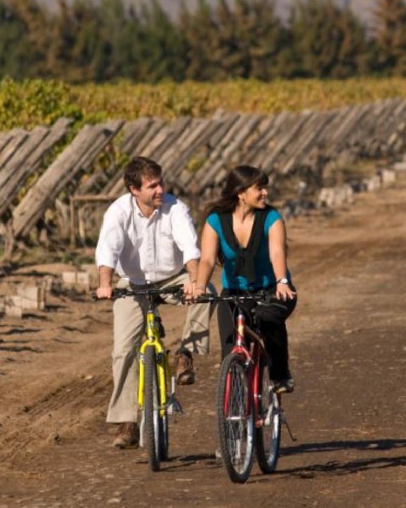 Bike e Vinho Vale de Uco - Bike & Vinho - Mendoza Holidays
