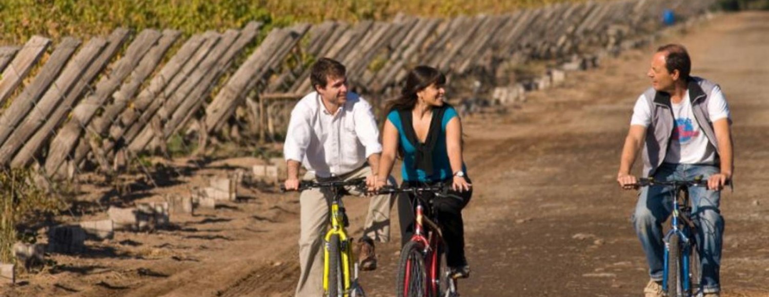 Bike e Vinho Vale de Uco - Bike & Vinho - Mendoza Holidays